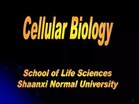 PPT Cellular Biology PowerPoint Presentation Free Download ID 4118279