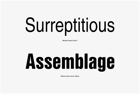 Nimbus Sans Desktop Font And Webfont Youworkforthem