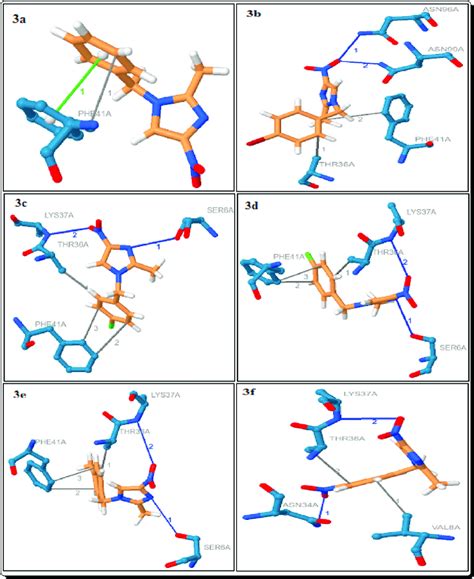 Docking Poses And Binding Modes Of 3a F Download Scientific Diagram