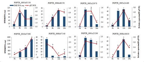 Verification Of Eight Selected Degs By Qrt Pcr Comparison Of Rna Seq