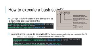 Lab Bash Script Pptx