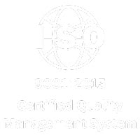 Power Platform Developer