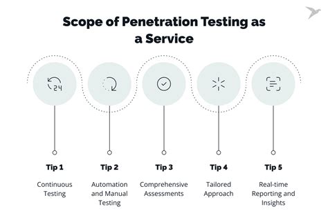 Penetration Testing As A Service Ptaas Choose Wisely Techmagic