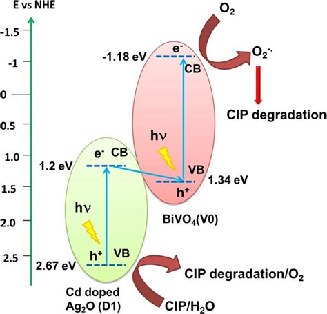 A Schematic Of The Proposed Mechanism Based On The Experimental And DFT Download Scientific
