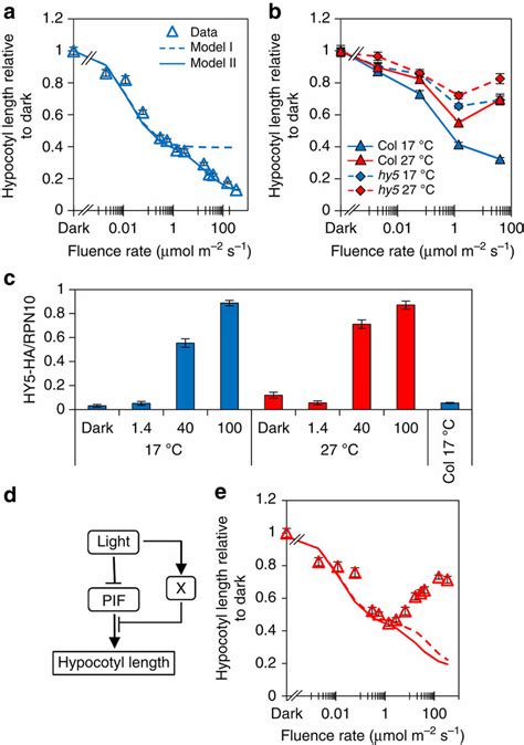 Suppression Of Pif Activity By X Is Required To Repress Hypocotyl Download Scientific Diagram