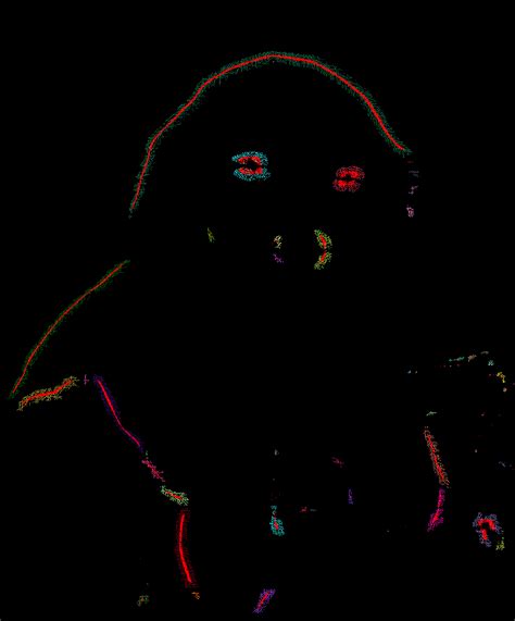 GitHub ZaidK Edge Detection And Coloring Connected Components Detecting The Edges Of A