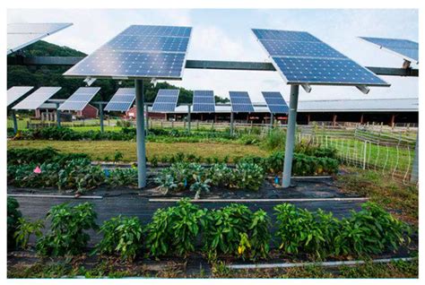 Agrivoltaic A Synergistic Co Location Of Agricultural And Energy