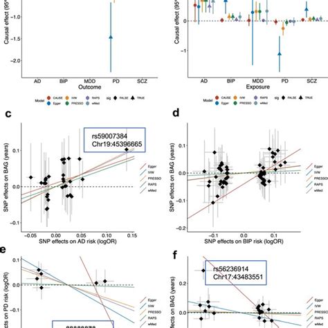 Causal Inference Between Brain Age Gap And Disorders A Causal Effect Of