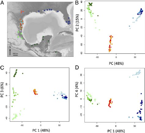 Sampled Populations A And Pca Plots For The Individuals Based Download Scientific
