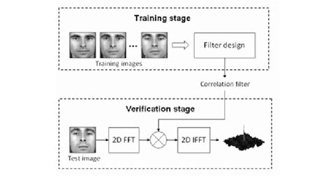 using correlation filters for face recognition download scientific