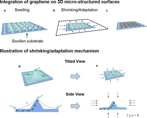 3d Shaping Graphene Swell It Shrink It Adapt It