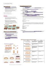 Understanding Epithelial Tissues: Types, Functions, and Locations | Course Hero
