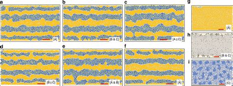 Robustness In Pattern Formation Dynamics Of Reduced Model Letter