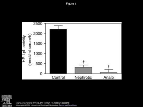 Volume Issue Pages August Ppt Download