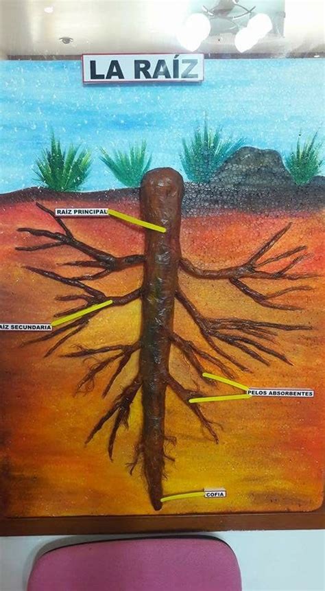 Pin By Wuetty Garcia On Edu Ativo Vegetables Carrots Food