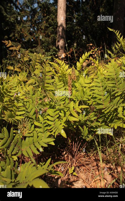 this title refers to an html document possibly containing code or content related to the number