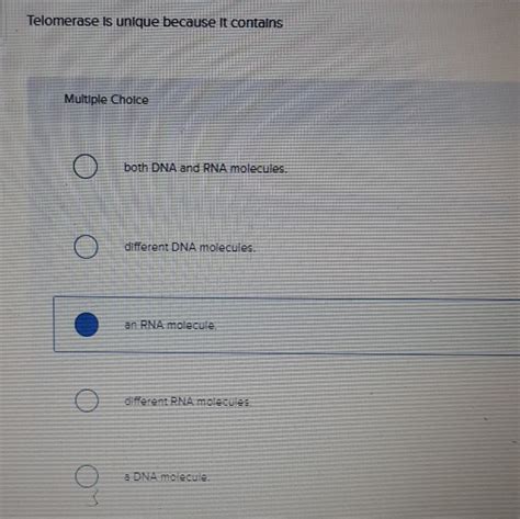 solved dna polymerases cannot replicate multiple choice