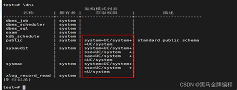 人大金仓数据库对象访问权限人和金仓怎么授权 Csdn博客
