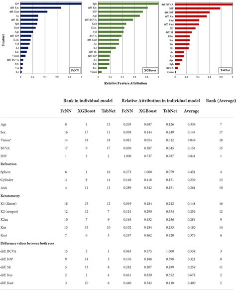 The Explainable Interpretation Of Feature Importances In The Individual