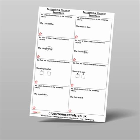 Year 1 Recognising Nouns In Sentences Varied Fluency Resource Classroom Secrets