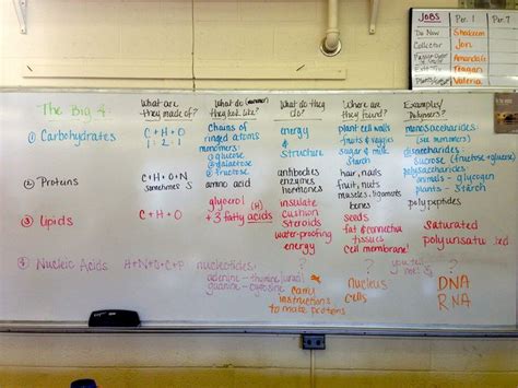 Unit 3 Cell Structure And Function Teaching Biology Biology College