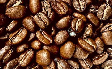 Siemens Java Taskforce Frameless Media