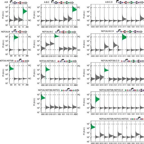 Functional Composition Of Logic Elements Into Recombinase Logic