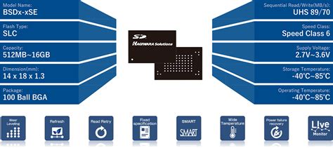 Hagiwara Solutions Co LtdeSD Embedded SD Won IpXchange Best Memory Products Award