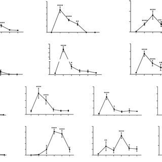 Different Macrophage Phenotypes Were Observed In The Induction And Download Scientific Diagram