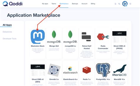 Deploy A Complete Mastodon Stack On Qoddi Qoddi Dev Center