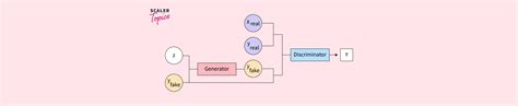 Introduction To Conditional GANs Scaler Topics