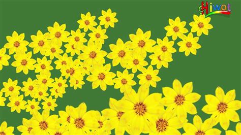 አደይ ፪ አበባ እሰይ መስከረም ጠባ👏👏👏🌼🌼🌼🌼🌼🌻🌻🌻🌻🌻 By Ethiopian Video Collection