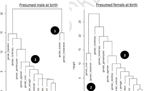 Hierarchical Clustering Analysis Dendrogram Complete Linkage Of