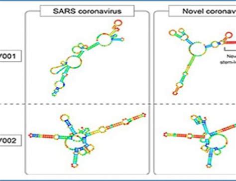 Comparison Of Rna Seq And Microarray In Transcriptome Profiling Rna