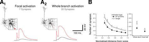 Spatiotemporal Conditions For Spike Initiation A Effect Of Spatial Download Scientific