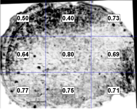 SSIM Map Displayed As 1 SSIM 2 Between The Stitched Image And The Download Scientific Diagram