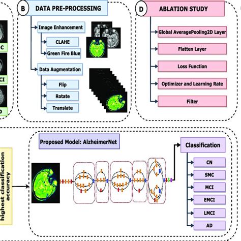 Working Procedure Of The Entire Proposed System Alzheimernet For Download Scientific Diagram