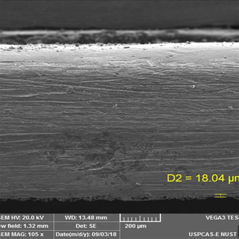 Sem Micrographs Of A Uncoated Substrate And B Download Scientific Diagram