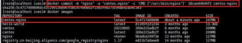 Docker 制作nginx镜像docker制作nginx镜像 Csdn博客