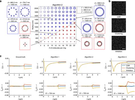 Application Of Algorithmic Resolution Limit To Localization Microscopy Download Scientific