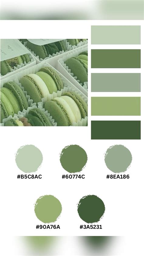 20 dti hex codes ideas color coding hex color palette hex color codes