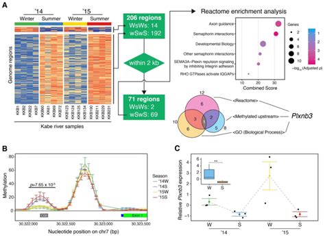 Dna Methylation Map And Plxnb3 Gene Expression Pattern Correlated