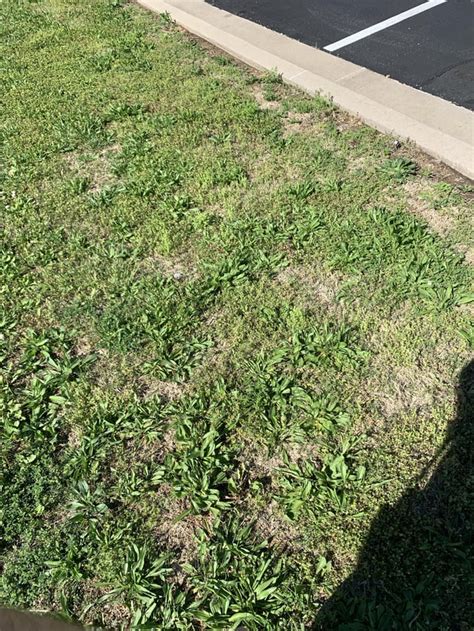 Find The Toad Rfindthesniper