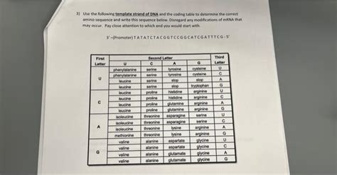 Solved Use The Following Template Strand Of DNA And The Chegg