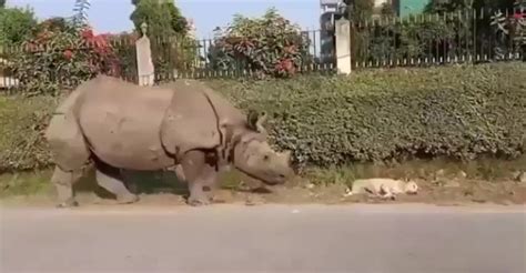 Dump Of Random Stuff I Saved Over The Years But Now Im Formatting One Of My Hard Drives So Need