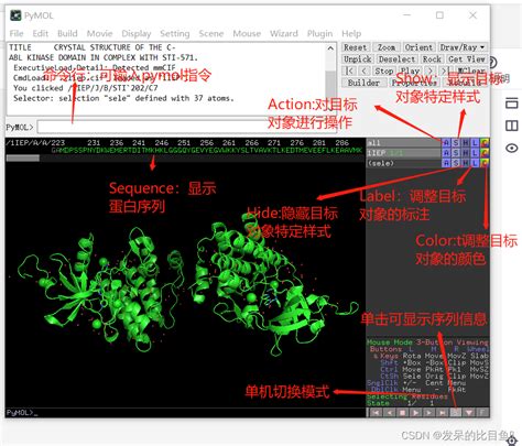 Cadd课程学习（3） 靶点药物相互作用 Pymol Pymol使用教程中文 Csdn博客