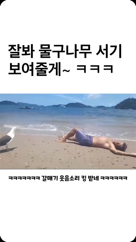 똑티비 여보 소리에 남편 진심으로 놀라 깸 ㅋㅋㅋ 남편 여보 웃긴짤 ㅋㅋㅋ 유머 유행밈 Instagram