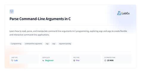 C 언어 명령줄 인수 파싱 Command Line Argument Parsing Argc Argv 활용 Labex