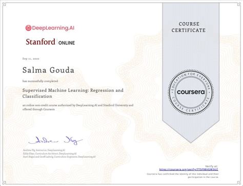 Salma A Gouda On Linkedin Im Delighted To Share That Ive Completed The First Course In The