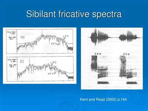 Ppt Acoustic Properties Of Consonants Powerpoint Presentation Free Download Id 118415